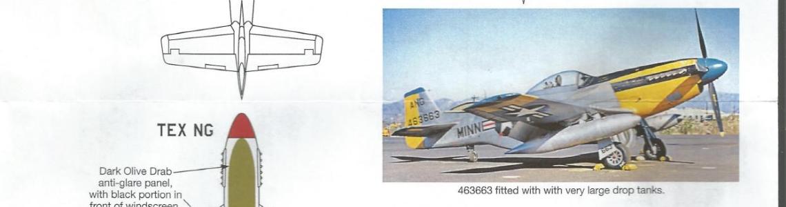 More Air National Guard Mustangs | IPMS/USA Reviews